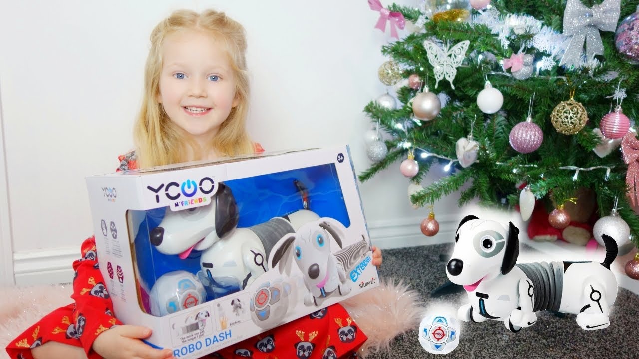 I GOT A DOG FOR CHRISTMAS | ROBO DASH - YouTube