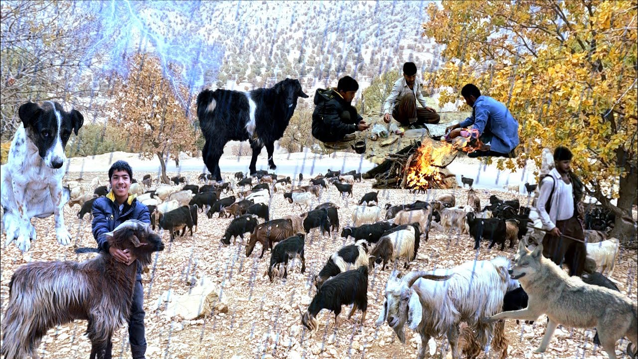 When Zagros Nomadic Shepherds Lead Flock to Cloudy Mountains — Rain ...