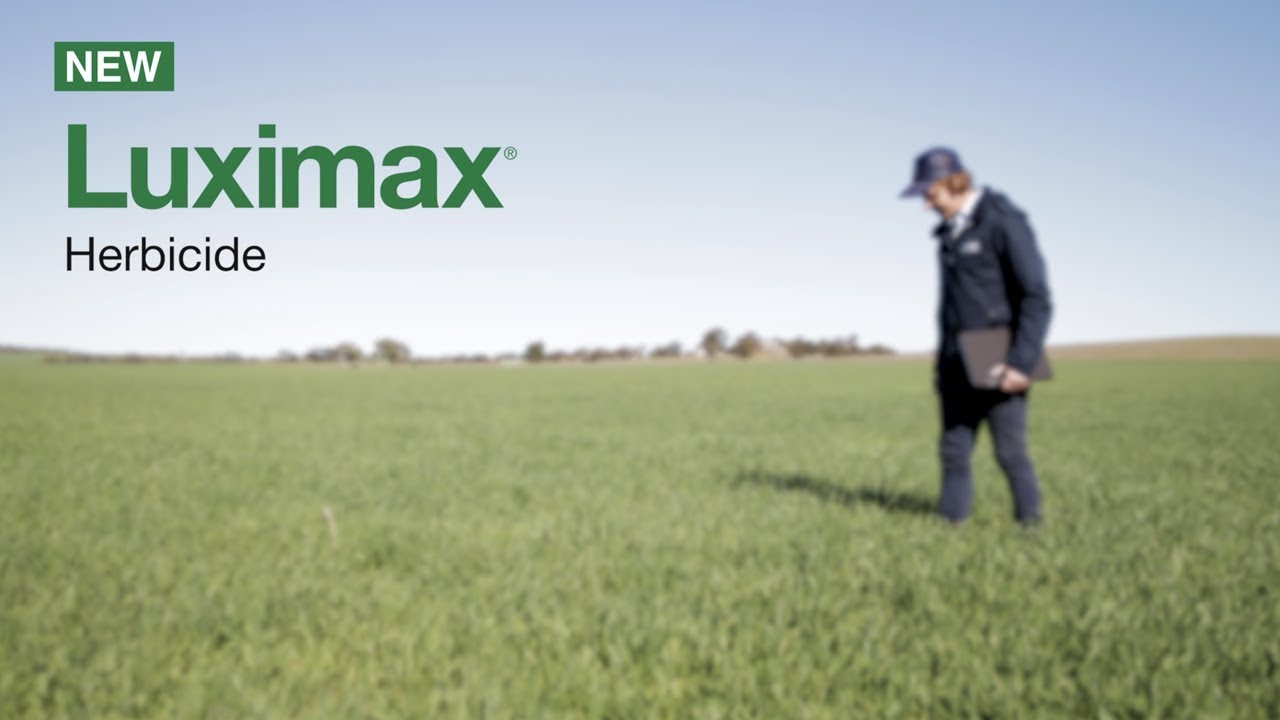 New Luximax herbicide: A breakthrough in annual ryegrass control - YouTube