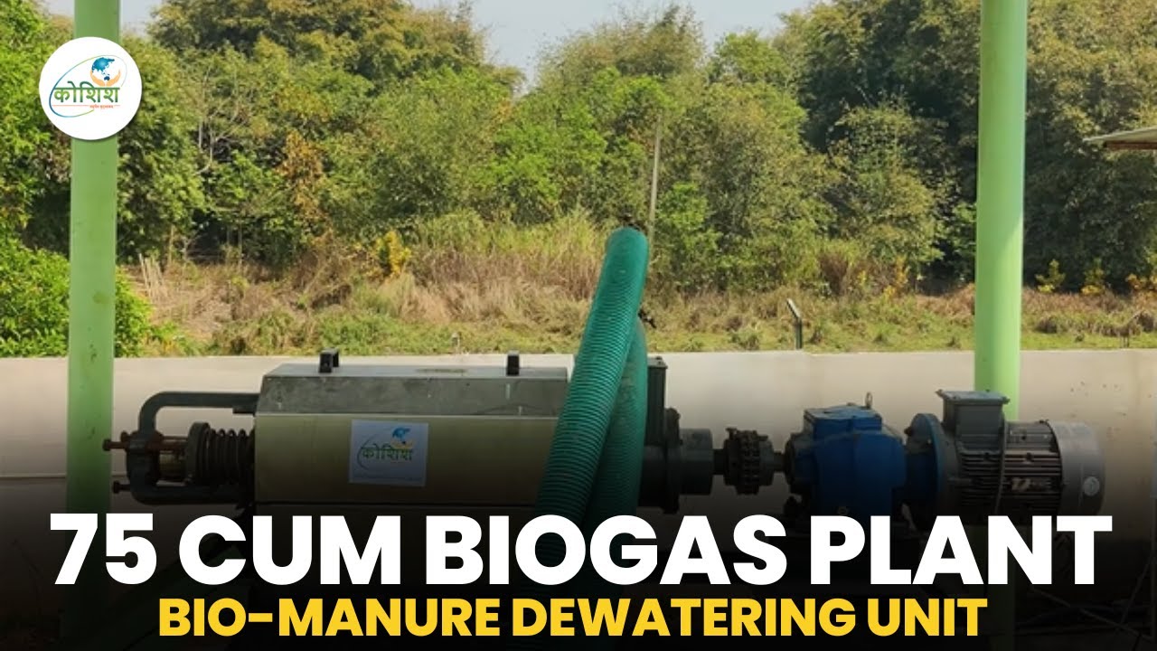 75 Cum Biogas Plant | Piggery Waste Based Plant | Bio-manure Dewatering ...