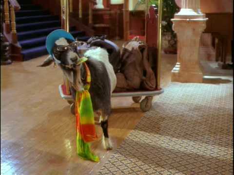 Old woman turned into a goat /goat tf - YouTube