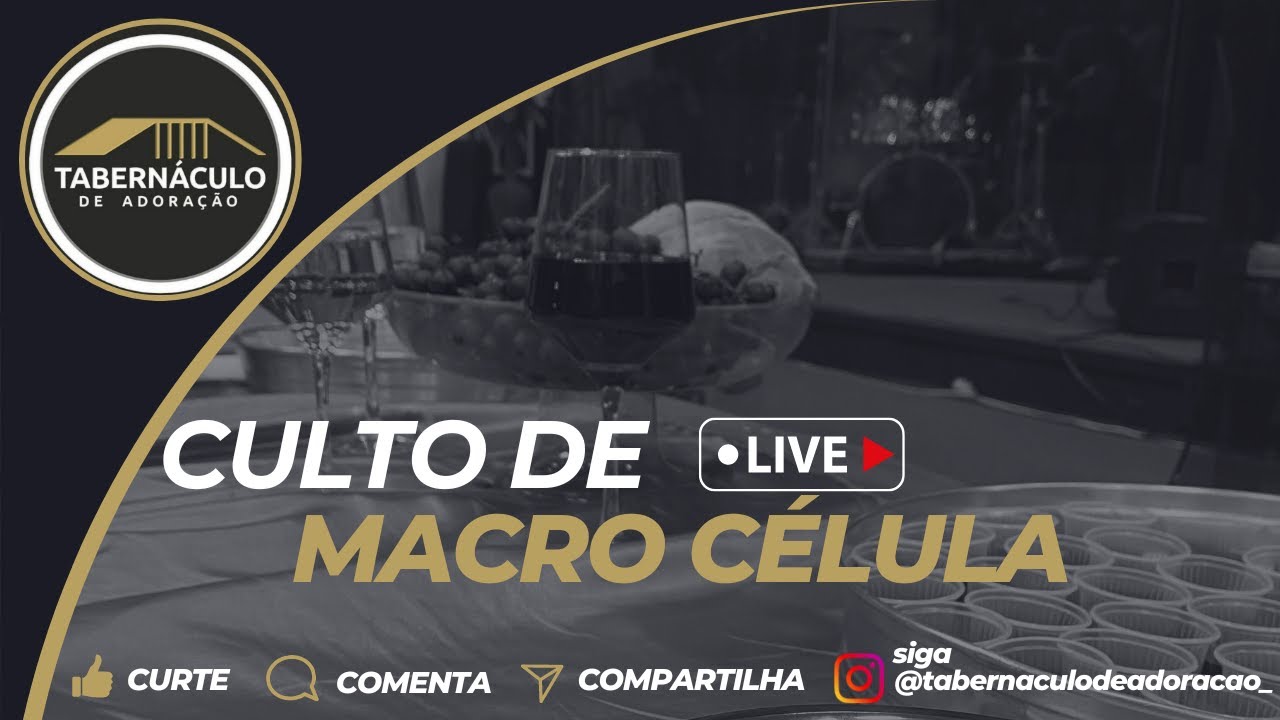 MACRO CÉLULA!!! - 15/12/24 - YouTube