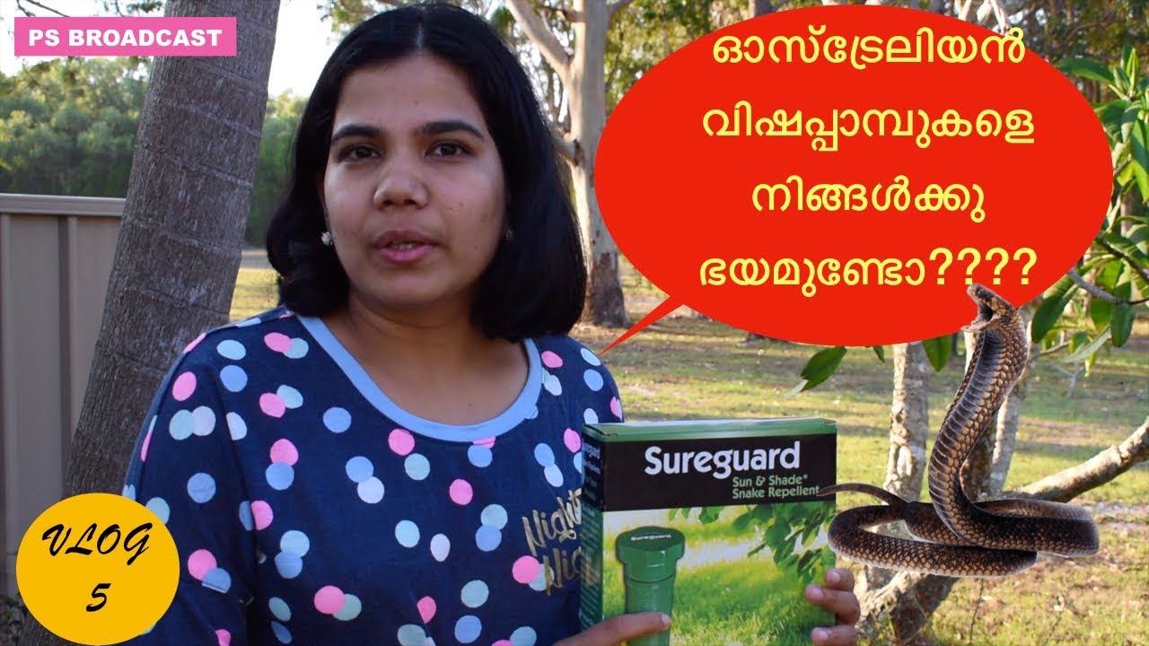 #VLOG (5) പാമ്പുകളെ അകറ്റി നിർത്താൻ ഒരു ഉപായം.#Introducing Sureguard ...