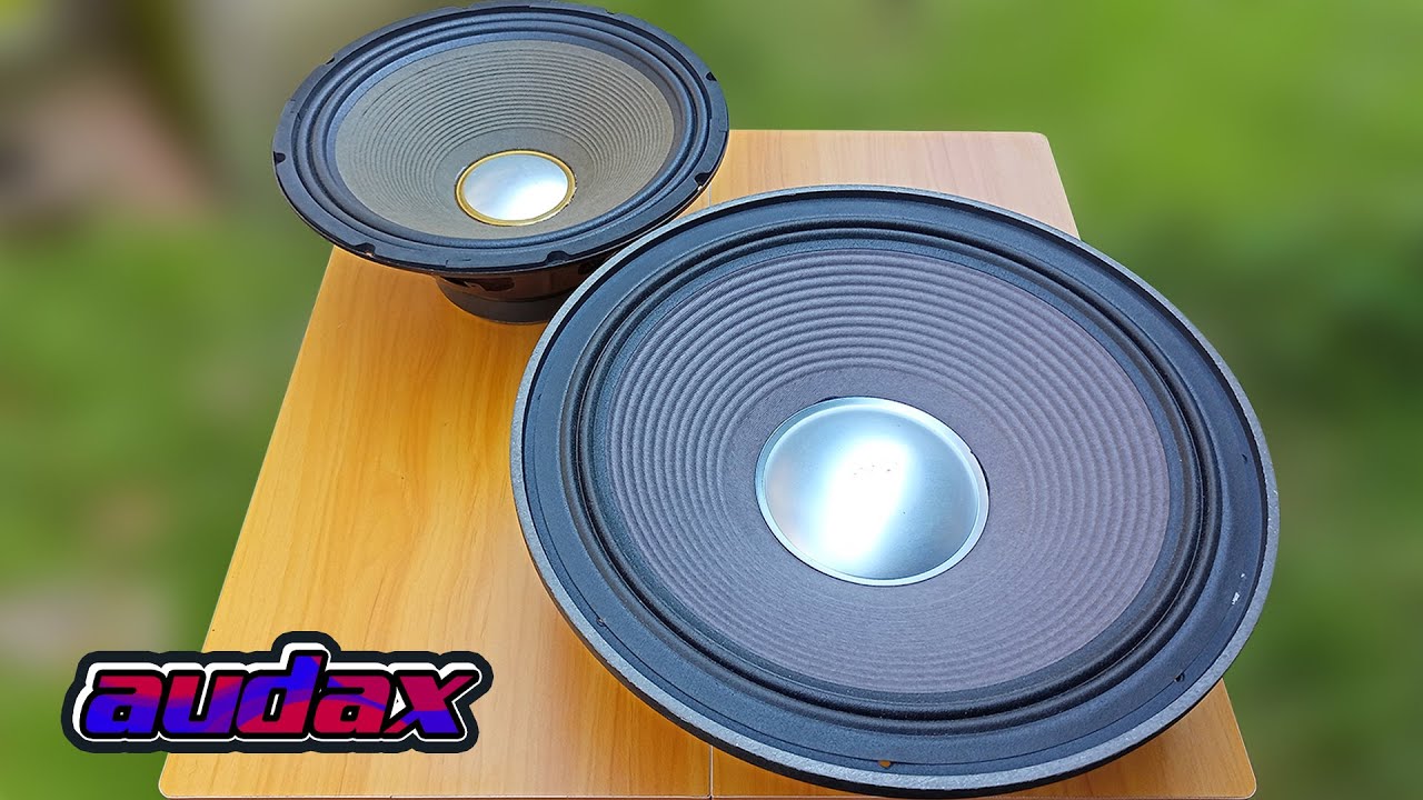 REVIEW KOMPONEN SPEAKER AUDAX AX 15950 DAN AUDAX AX 12462 - YouTube