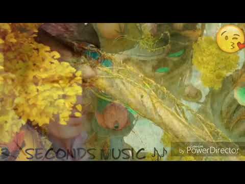 New love 2018 WhatsApp status video new video