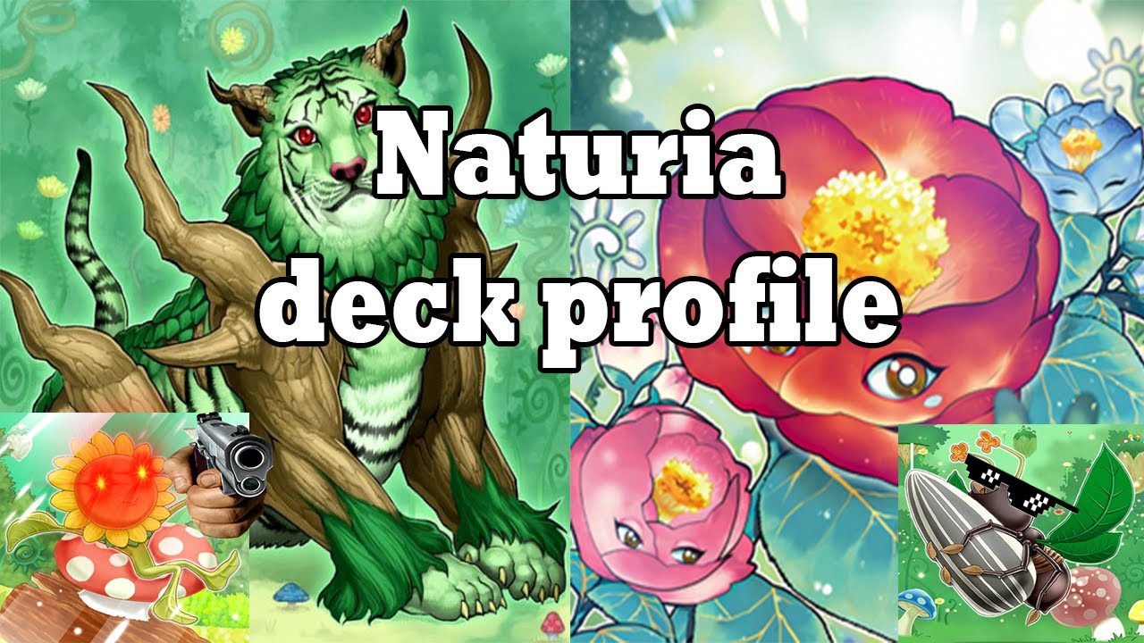 NATURIA DECK PROFILE/Yugioh TCG - YouTube