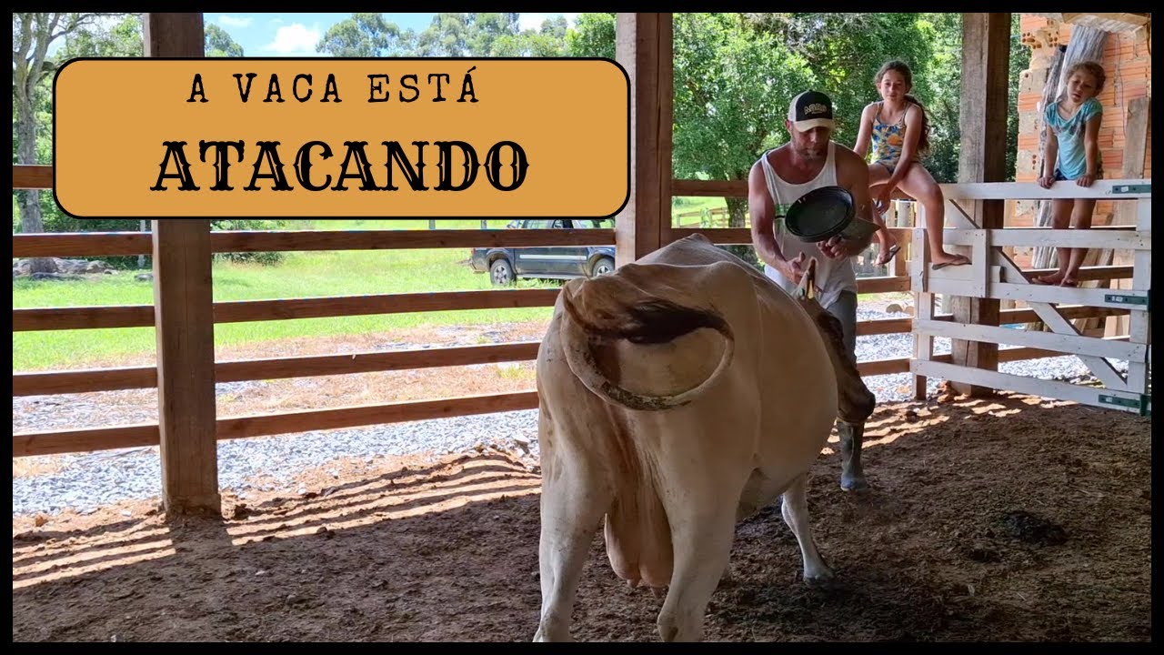 EP. 8. Vaca Ataca! Aventura na Montanha e Resgate do Cavalo Enroscado ...