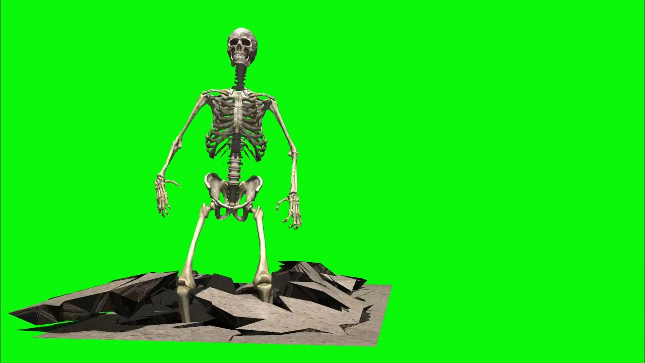 Green Screen improved Skeleton / Skeleton rises from grave - YouTube