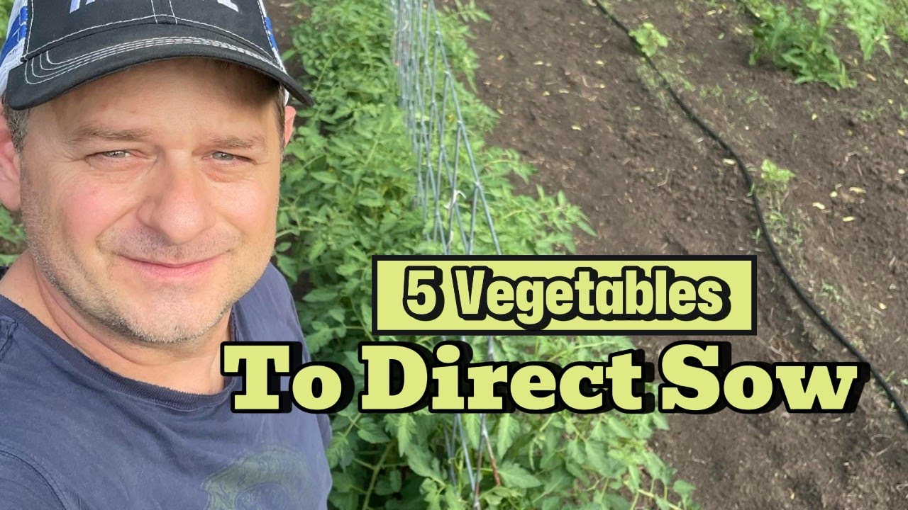 5 Easy Vegetables to Direct Sow for a Thriving Garden - YouTube