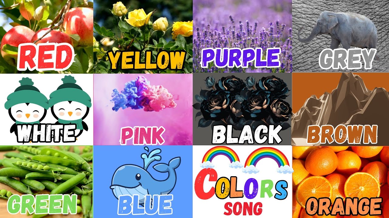 Color Song For Kids And Toddlers | Learn Colours Names | #ColorSong | # ...