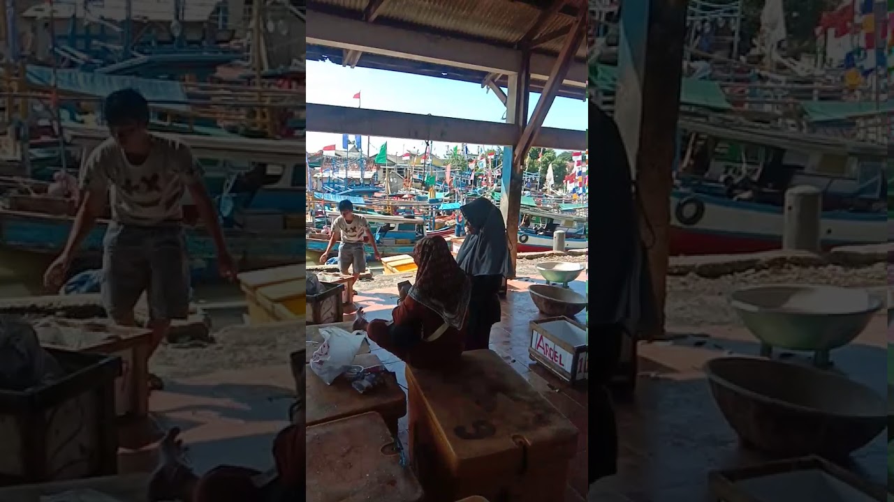 Pasar labuan panen ikan layang - YouTube