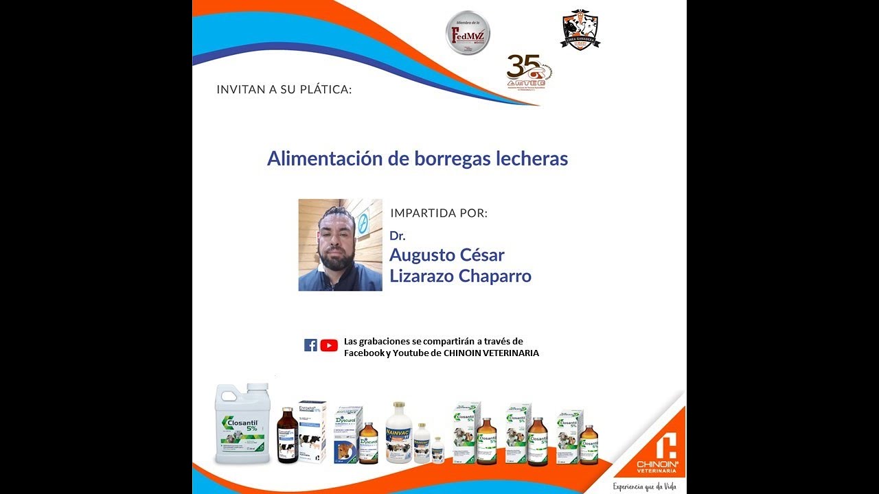 Alimentación de borregas lecheras - YouTube