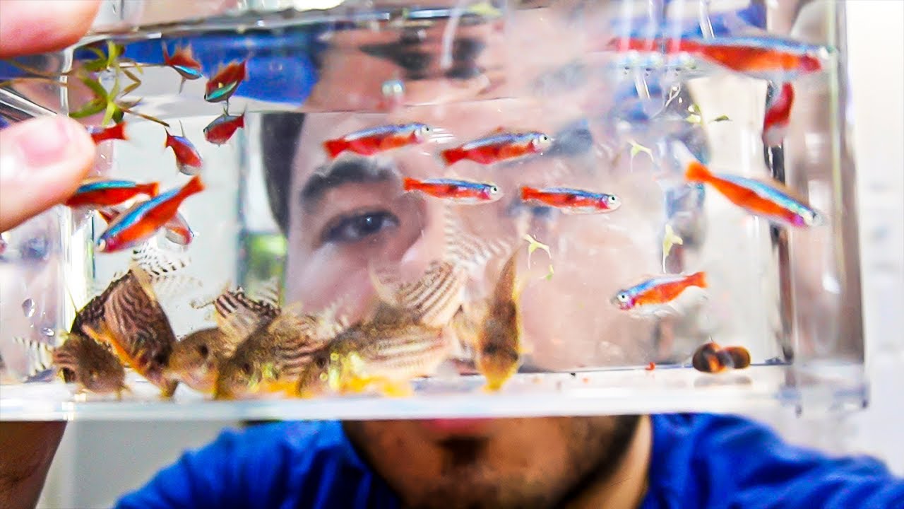 GIANT TANK UPGRADE FOR MY FISH!! - YouTube