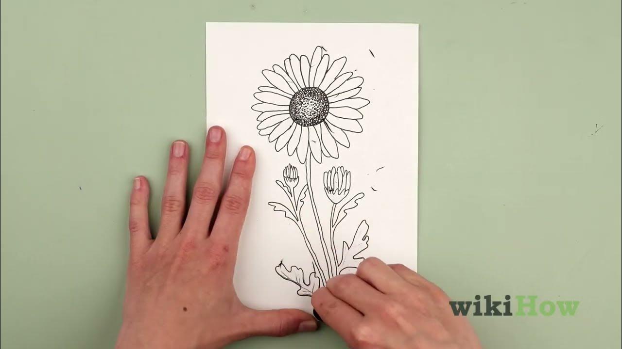 How to Draw a Flower - YouTube
