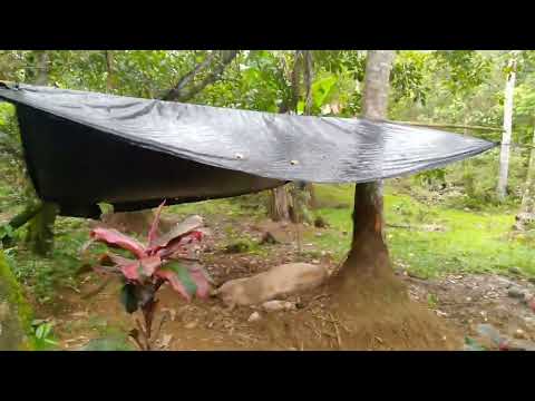 First time mag vlog - YouTube