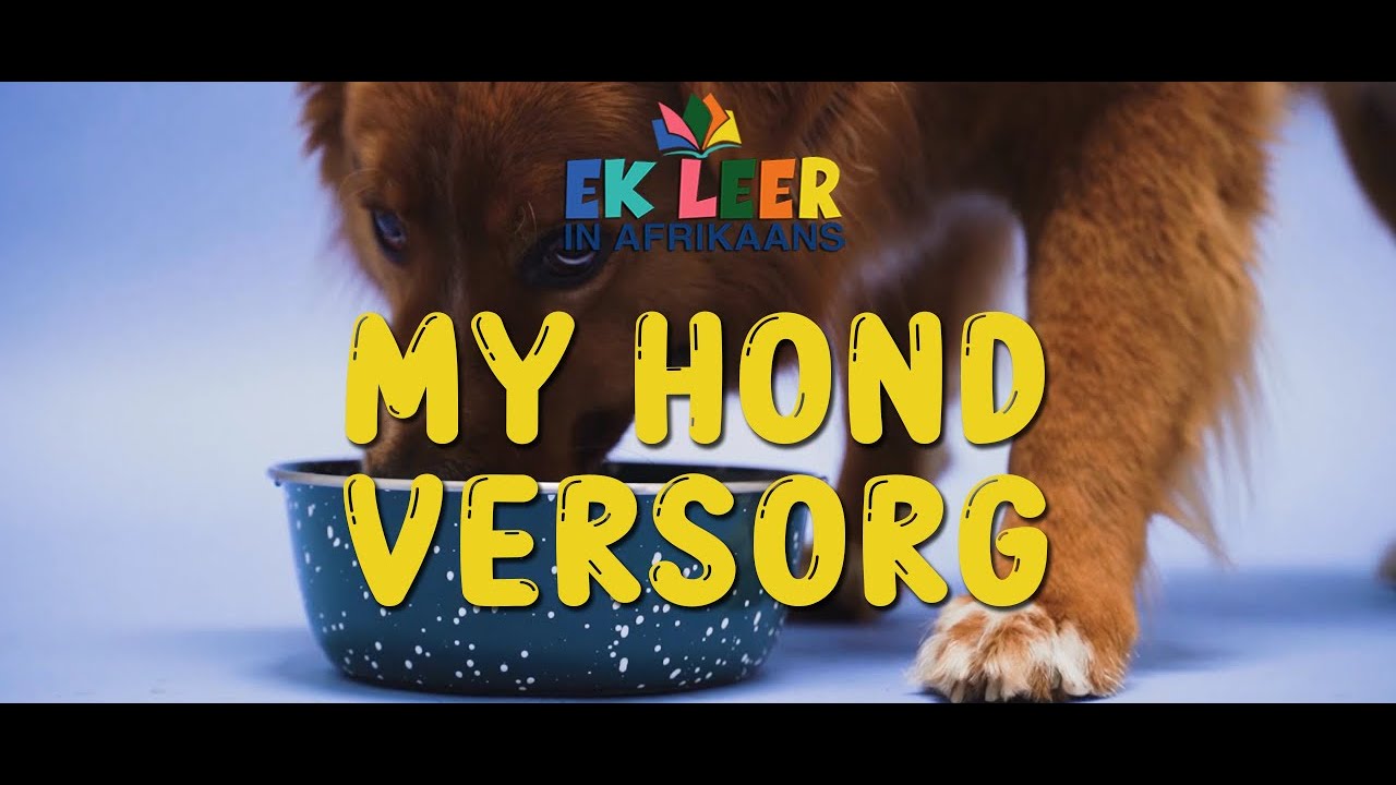 Hoe om troeteldiere te versorg - Deel 1 - Honde versorging - YouTube