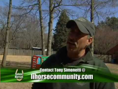 Talkin' Horses-TONY SIMONETTI - Spring Tune Up pt 5.mov - YouTube