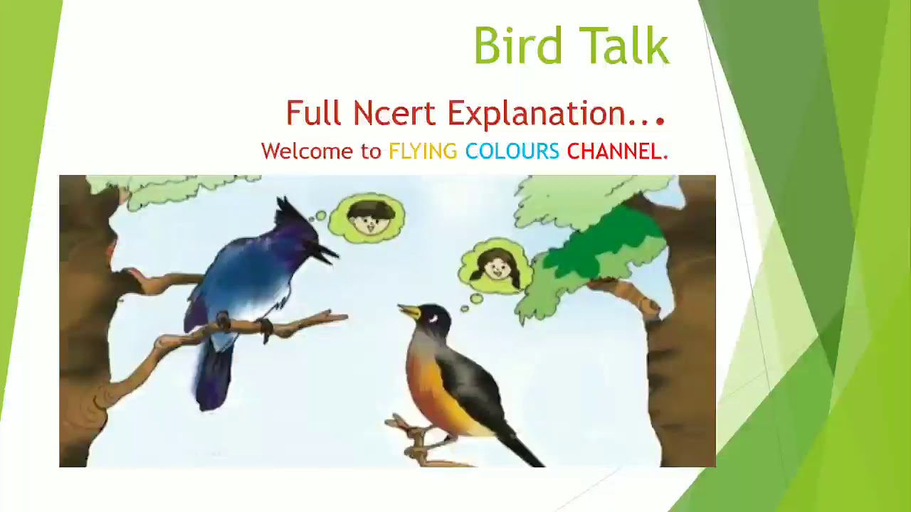 BIRD TALK CLASS III ENGLISH FULL NCERT EXPLANATION IN Hindi YouTube bird-talk-class-iii-english-full-ncert-explanation-in-hindi-youtube