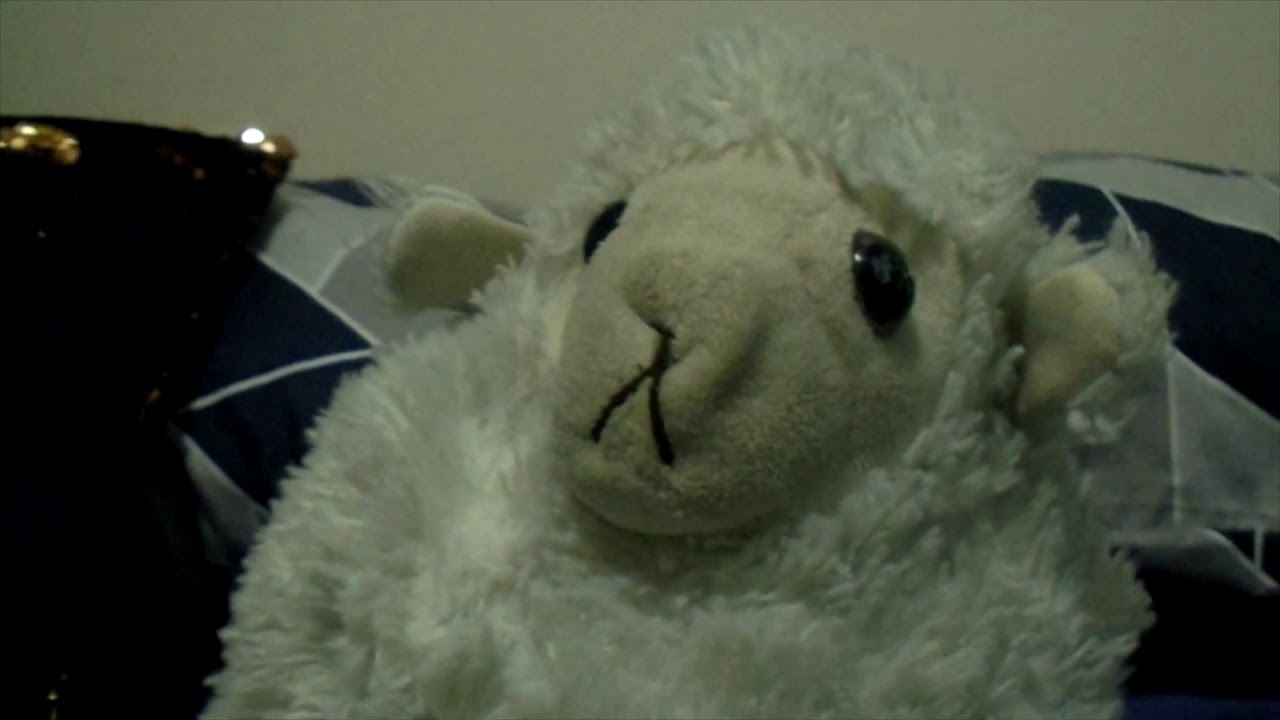 Sheepy's channel trailer - YouTube