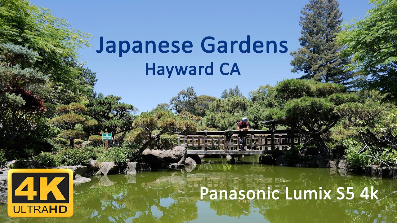 Japanese Gardens Hayward CA - Panasonic Lumix DC-S5 - YouTube