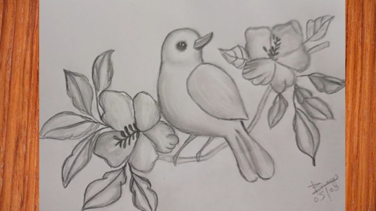 How to draw a Pencil Sketch of a Bird : Tutorial | #4 - YouTube