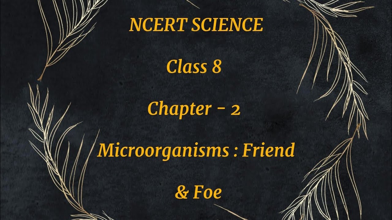 NCERT science class 8 ch - 2 Microorganisms : Friend & Foe - YouTube