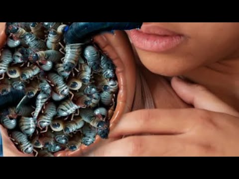 ASMR | relax clean armpit animation | calm clean armpit treatment - YouTube