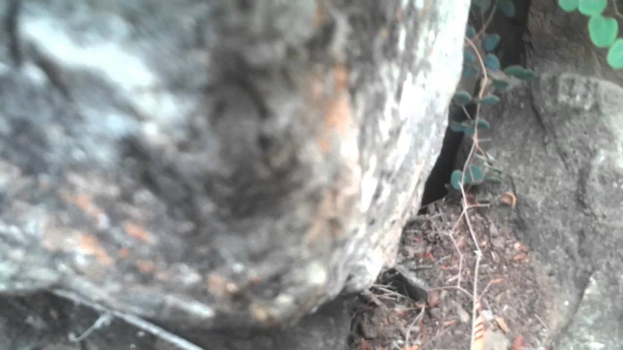 Mount Inge Big crevice found! - YouTube