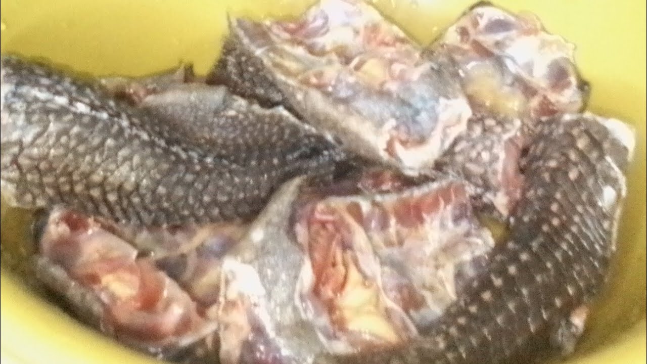 como fazer um delicioso bodó no leite de coco 😋😋😋😋😋 - YouTube