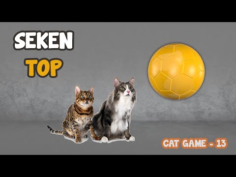 Kedi Oyunu 14 - TOPU YAKALA | Kedilerin İzlemesi İçin Süper Top Yakalama Videosu 😻