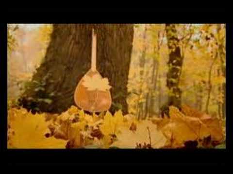 Adem Aslandoğan aşkın elinden - YouTube