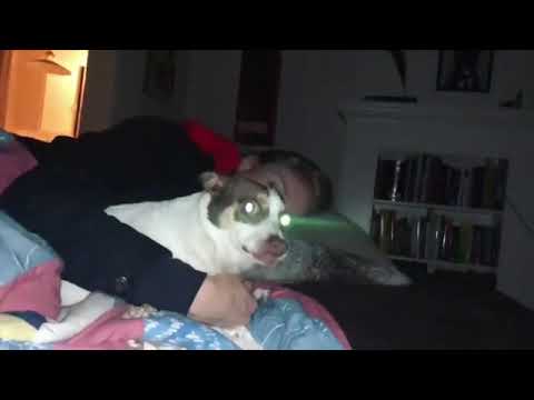 Mr.Bubz Is NOT HAPPY - YouTube