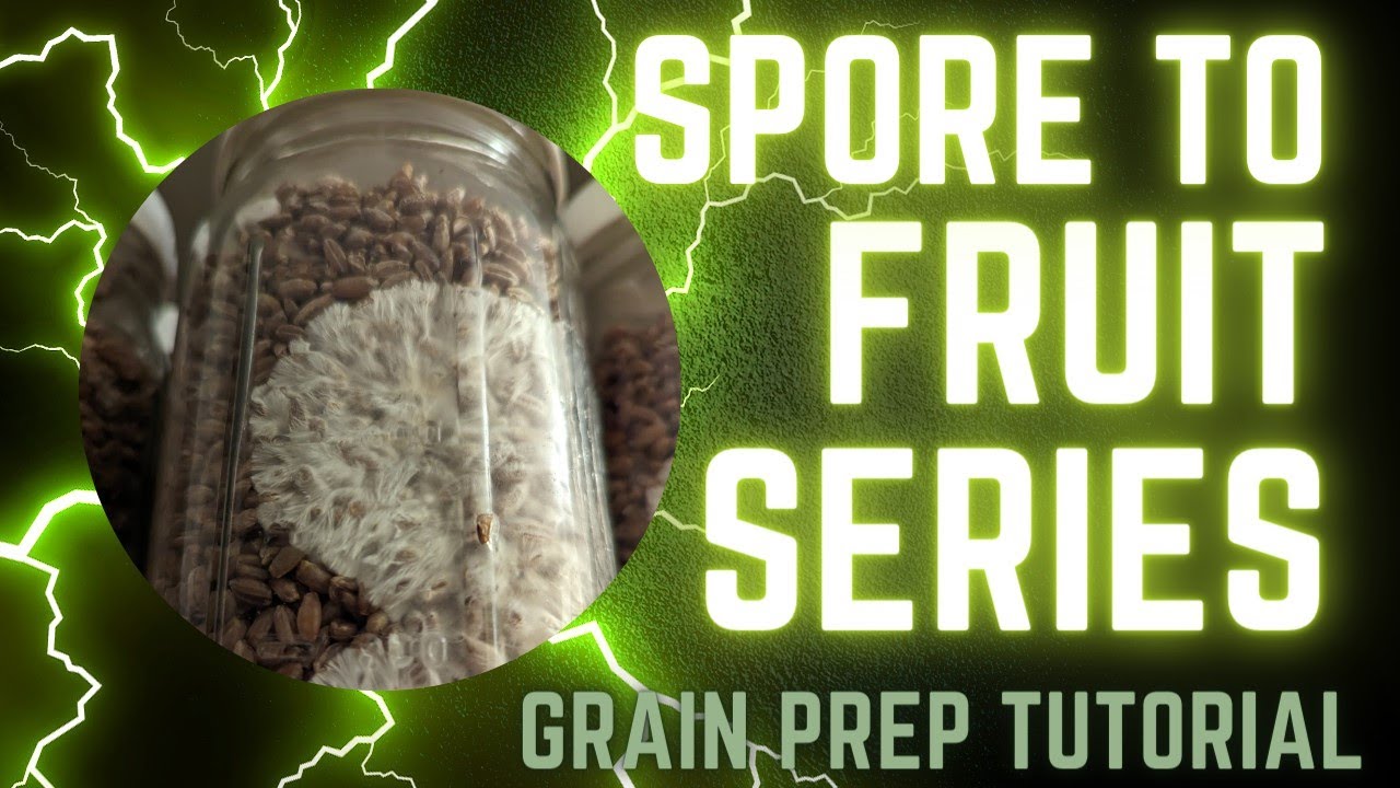HOW TO GROW MUSHROOMS: SPORE TO FRUIT SERIES (GRAIN PREP) - YouTube
