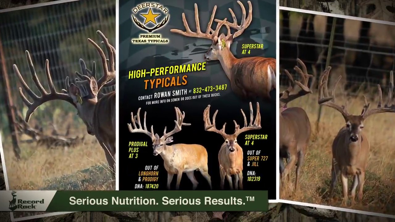 Monster Bucks by Record Rack - YouTube