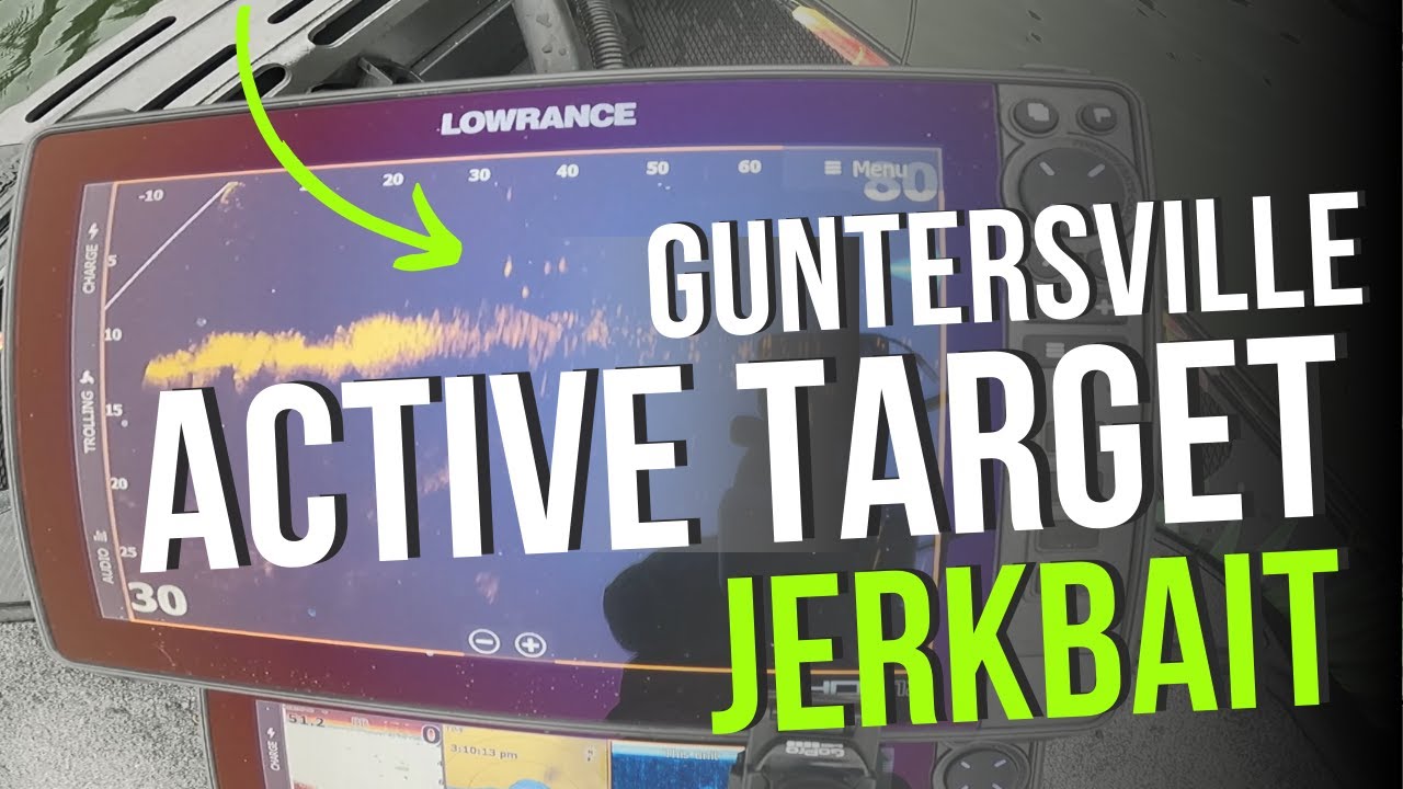 Active Target and Jerkbait on Guntersville - YouTube