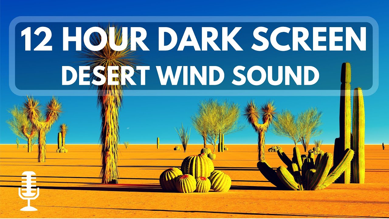 DARK SCREEN DESERT WIND SOUND - 12 HOURS - YouTube