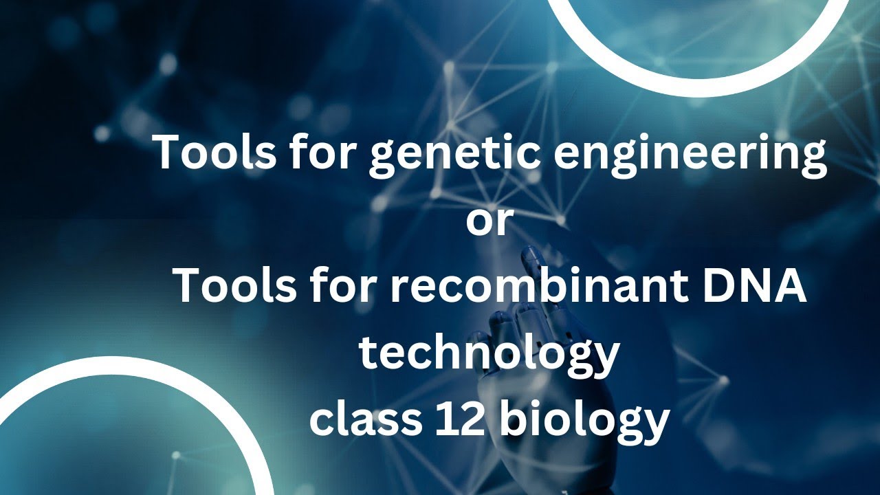 Tools for genetic engineering or tools for recombinant DNA technology ...