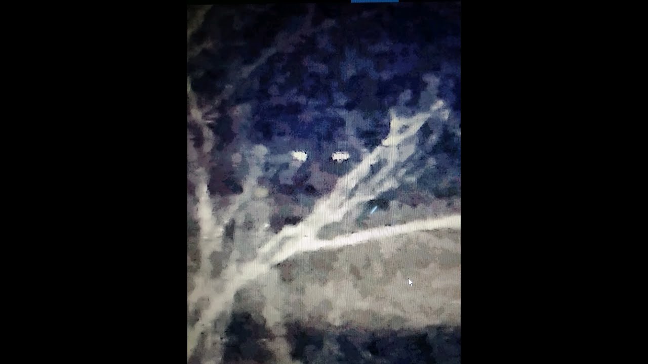 Bigfoot on trail cam - YouTube