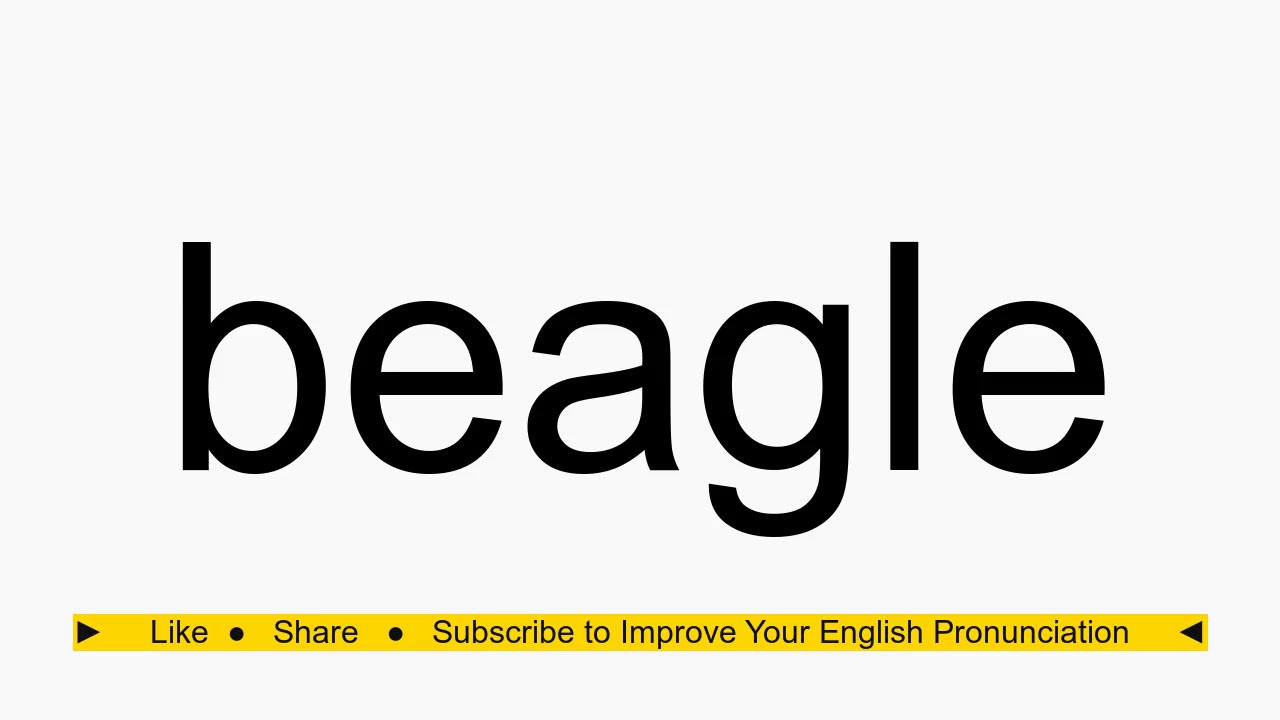 How to pronounce beagle - YouTube