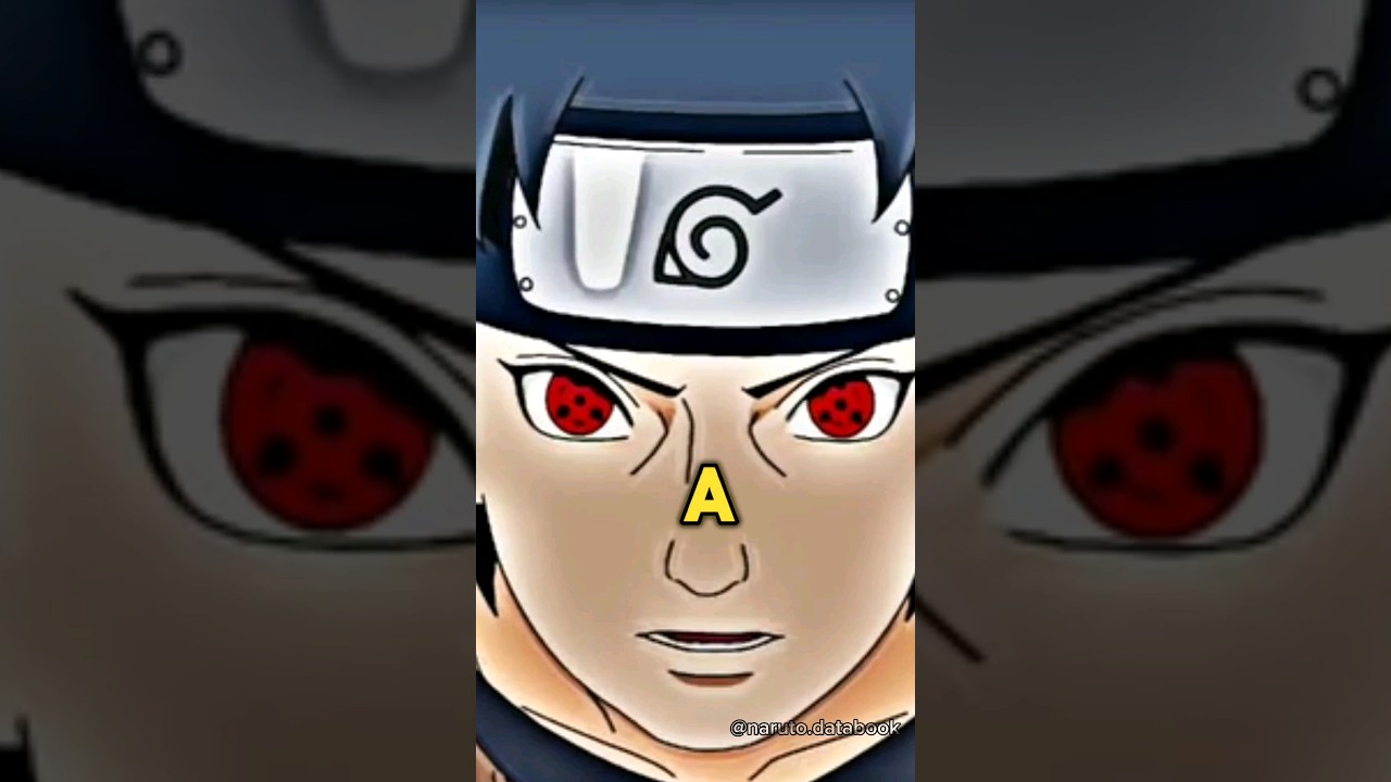 youngest jonin, chunin and genin - YouTube
