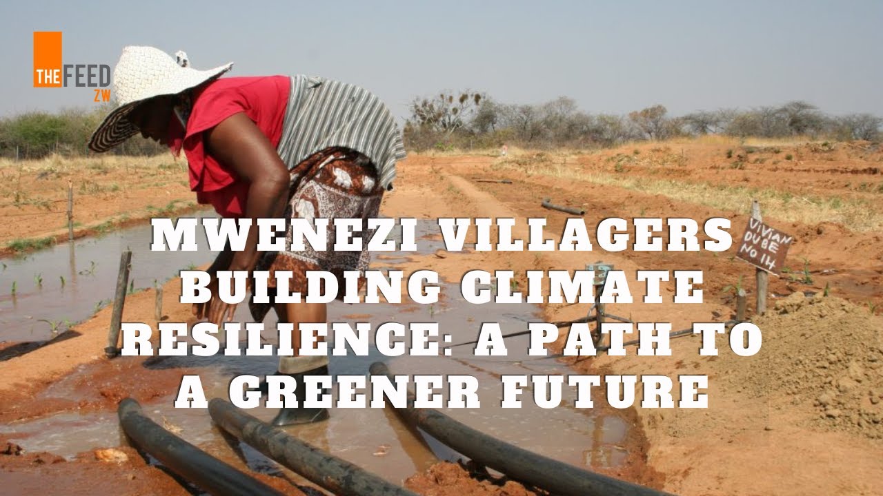 Mwenezi Villagers Building Climate Resilience: A Path to a Greener ...