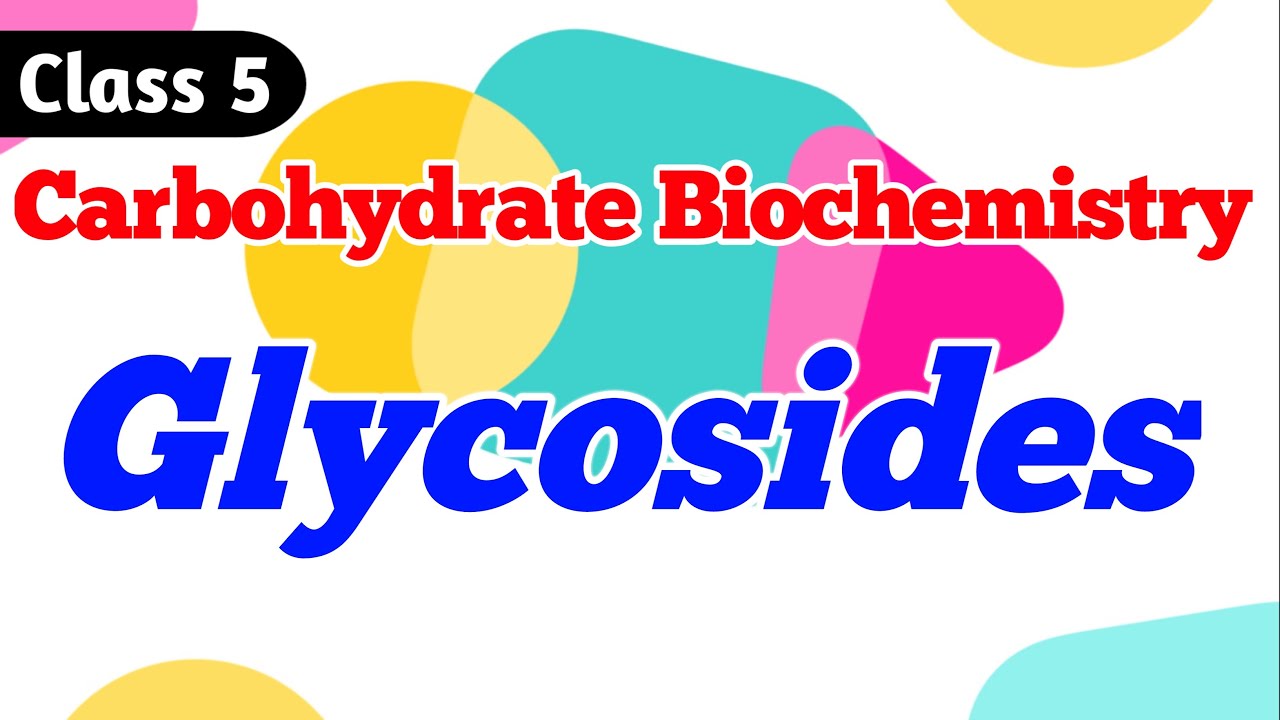 Glycosides | What are Glycosides Carbohydrate Biochemistry Class 5 ...