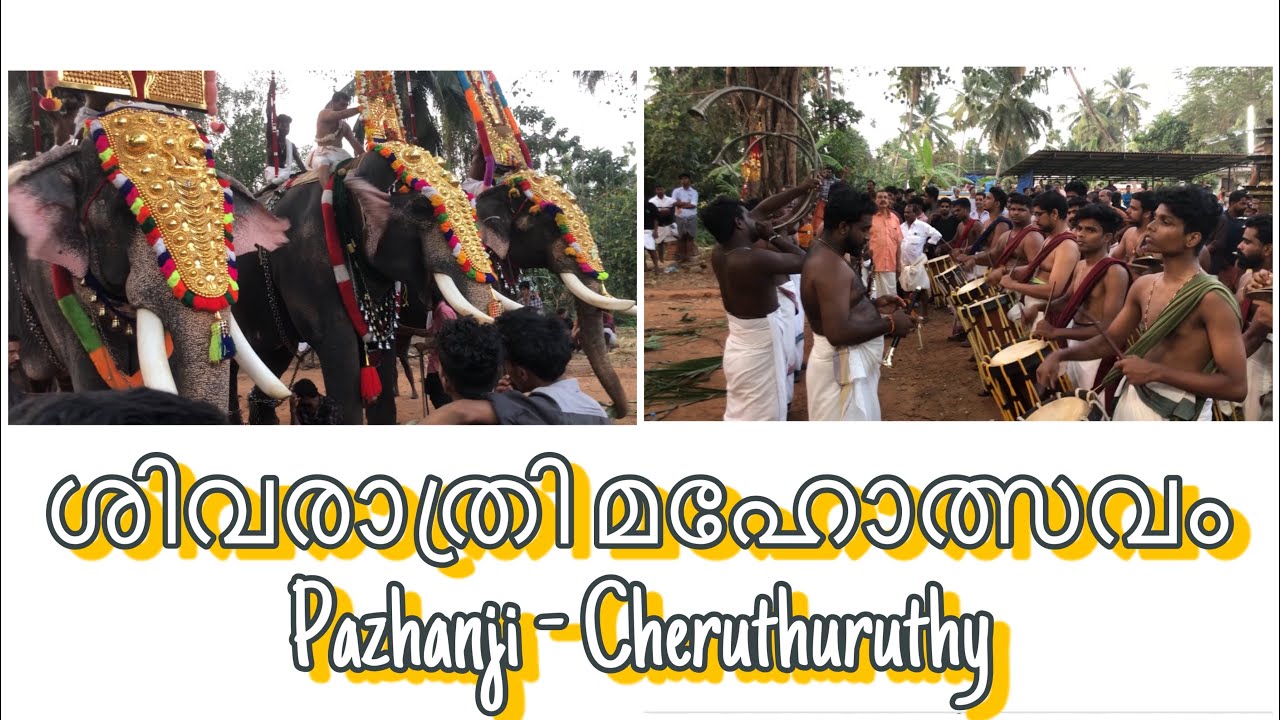 ശിവരാത്രി മഹോത്സവം 2023 | Pazhanji Cheruthuruthy #elephant # ...