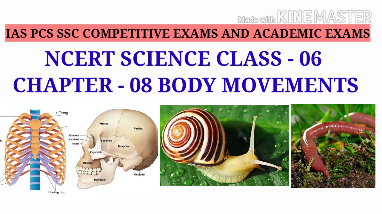 ncert science class 6 chapter 8 | gk science | ncert Summary for upsc ...