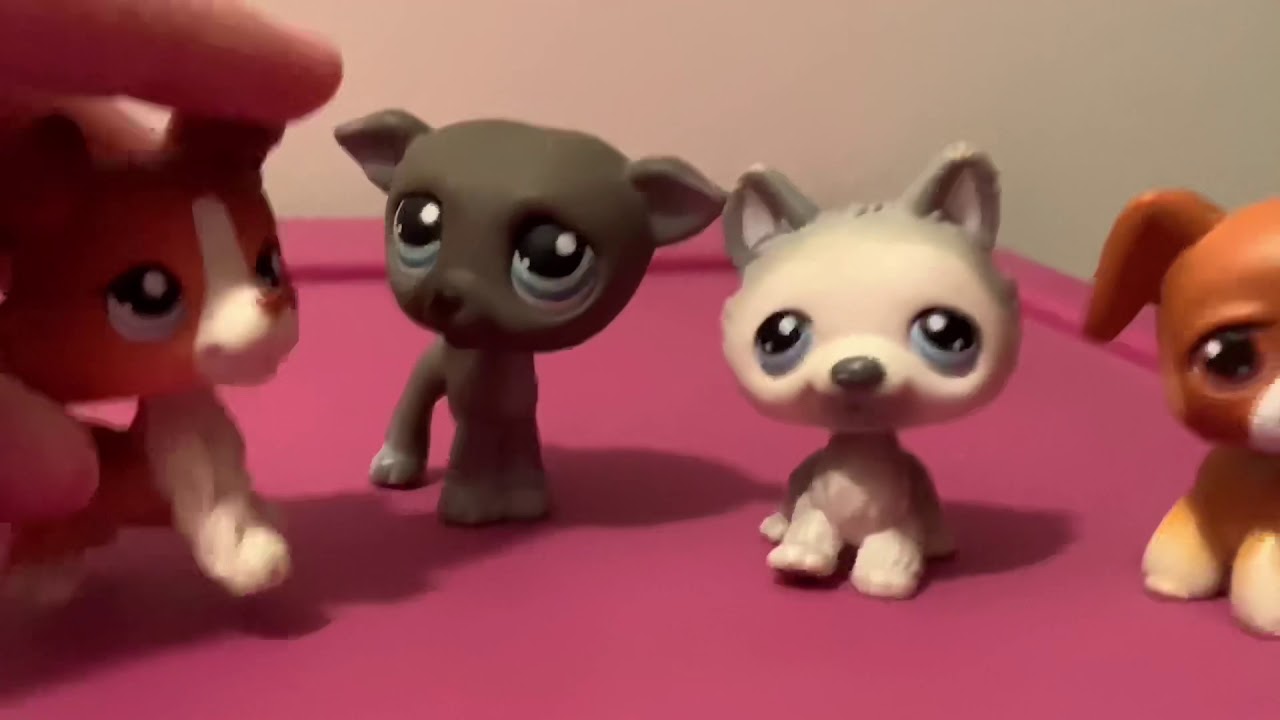 ⭐️ LPS Funny Moments 1 ⭐️ - YouTube