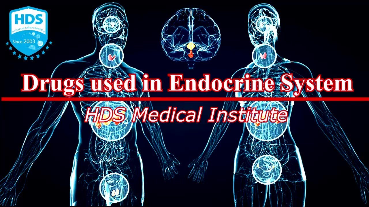 Drugs used in Endocrine System | 💊Pharmacology - YouTube