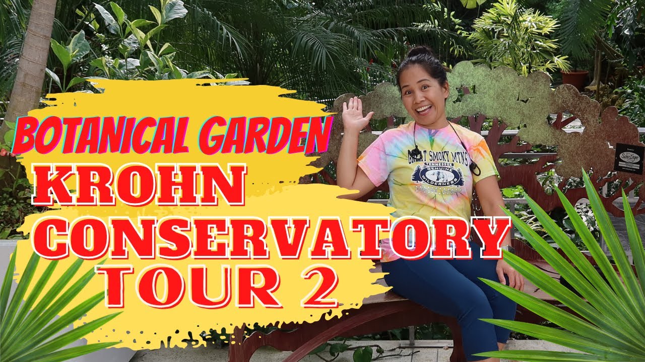 How What Does TOUR 2 Look Like AT KROHN CONSERVATORY BOTANICAL how-what-does-tour-2-look-like-at-krohn-conservatory-botanical