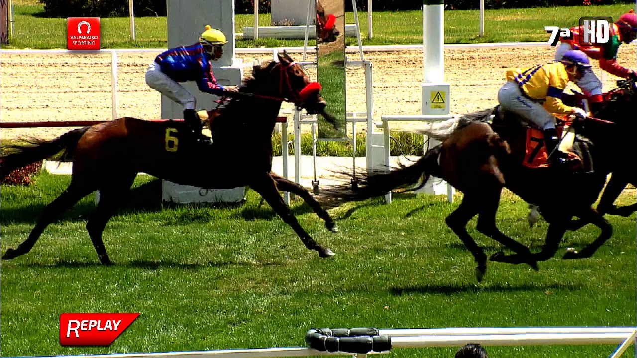 Carrera 7 04-01-2019 Premio: El Bionico - YouTube