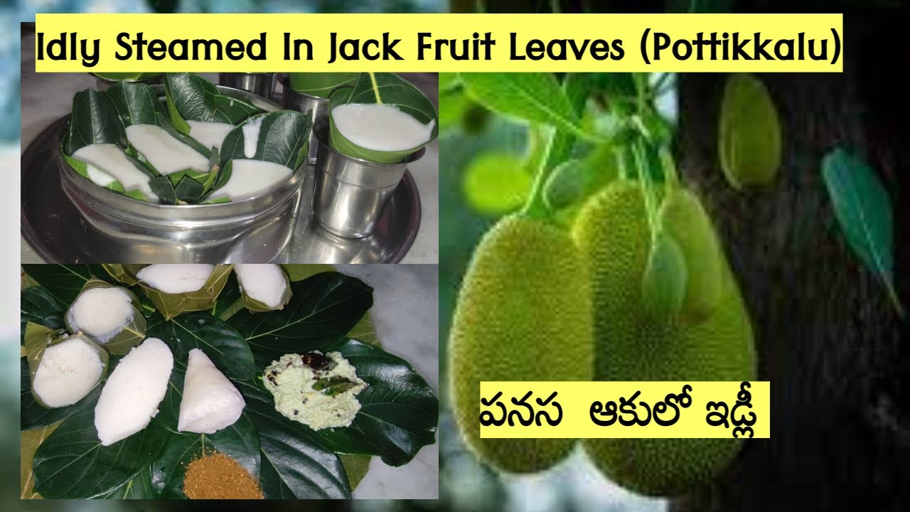 #Idly Steamed in Jack Fruit Leaves (Pottikkalu) - YouTube