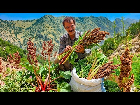 Altın Tohumların Hasadı; Dena Dağı'nın Gizli Sırrı | Göçebe Yaşam Tarzı